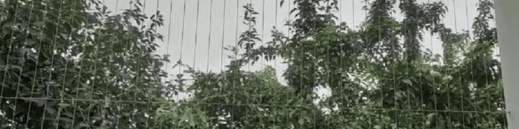 Invisible Safety Grill - ReachNettings | One Step Solution For All Your ...